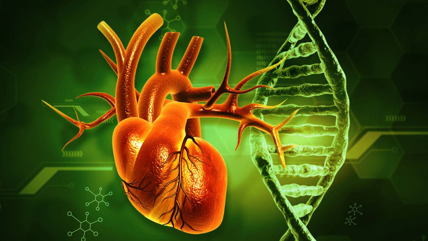 New Study Reveals Rare Genetic Variants Significantly Increase Atrial ...