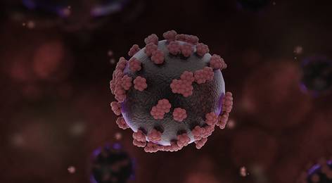 Infectious Diseases - Global Cardiology Academy