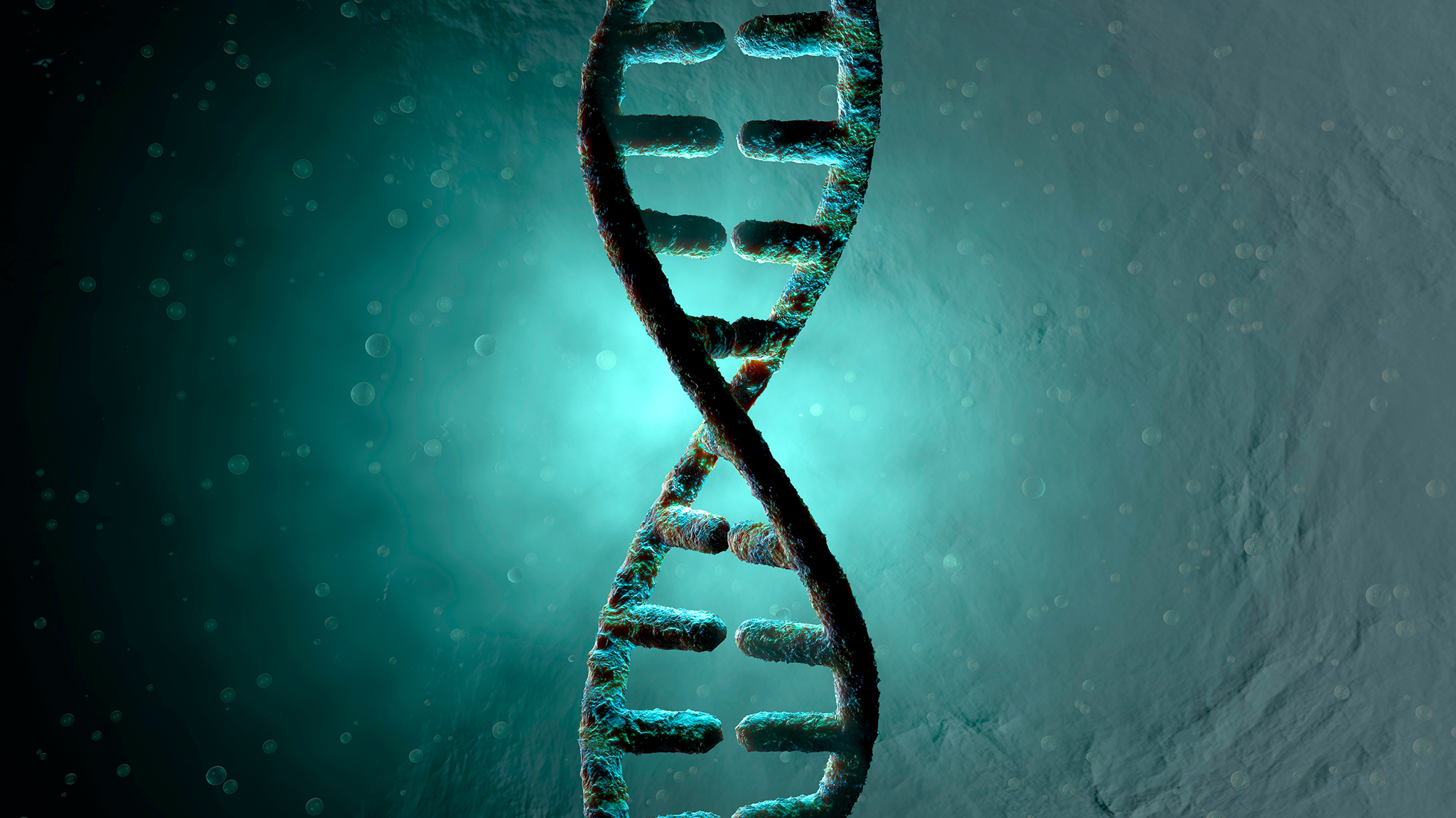 Rare and Orphan Diseases - Global Cardiology Academy