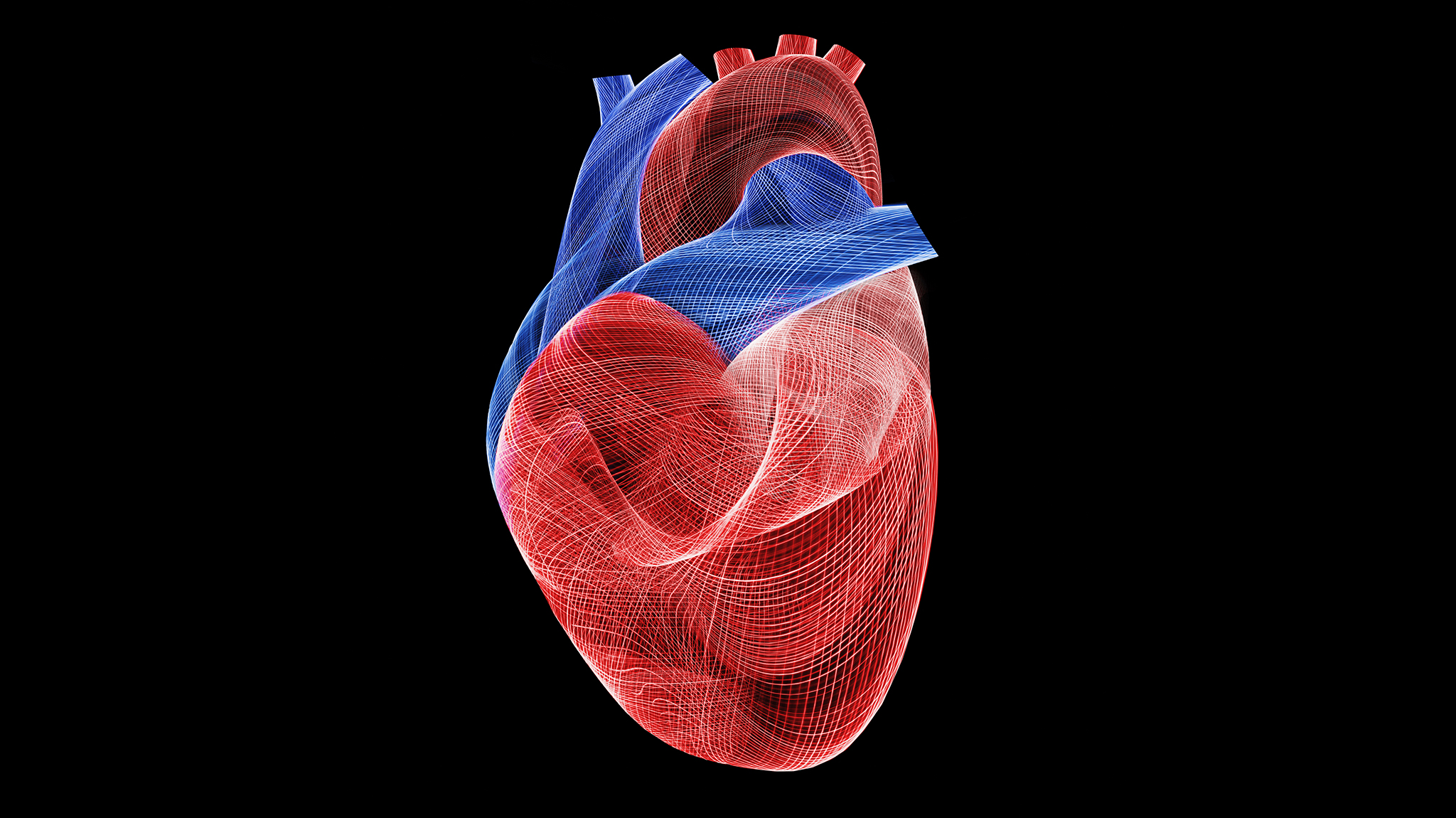 Cardiology - Global Cardiology Academy