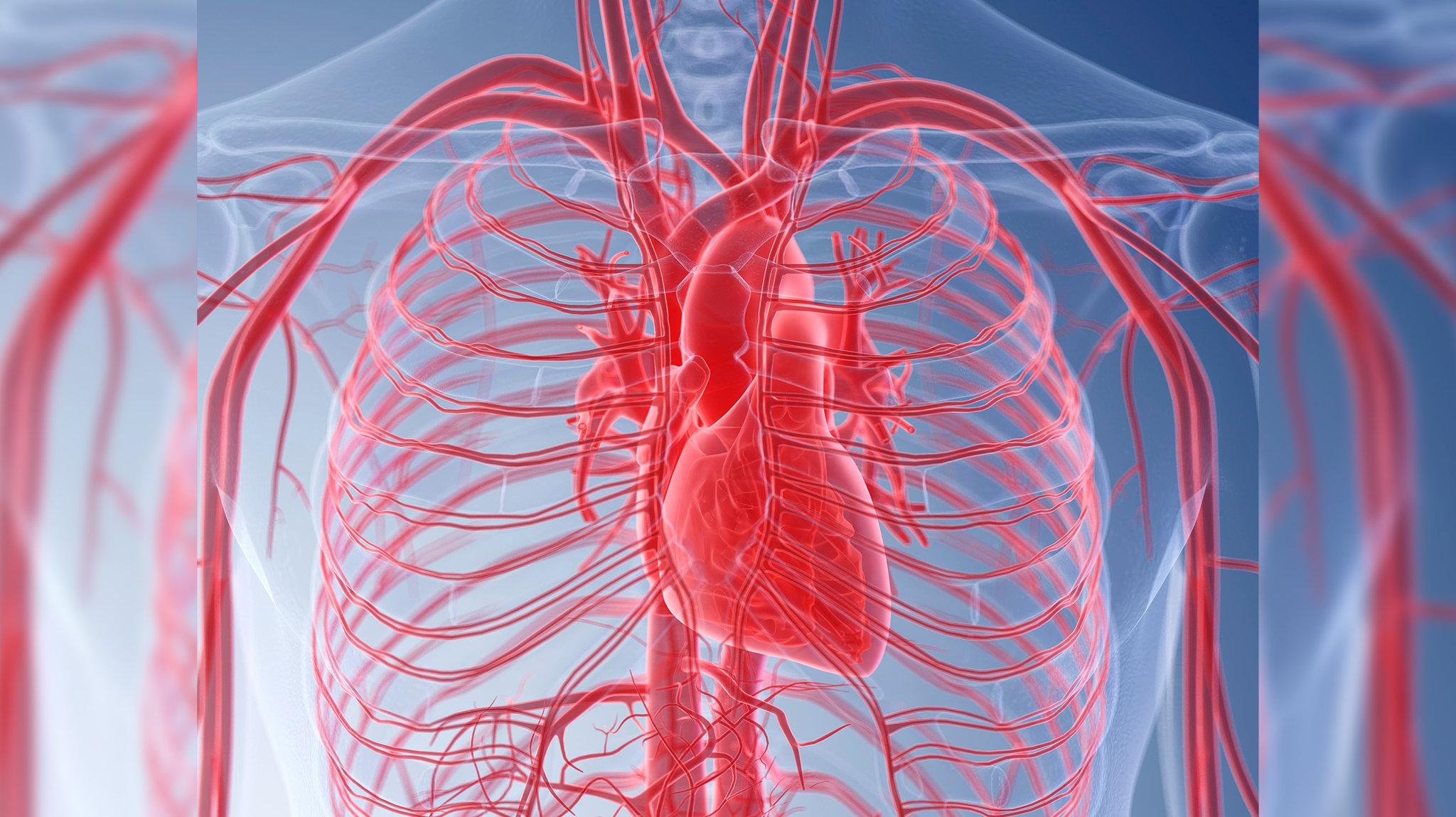 Vascular Viewpoints - Global Cardiology Academy