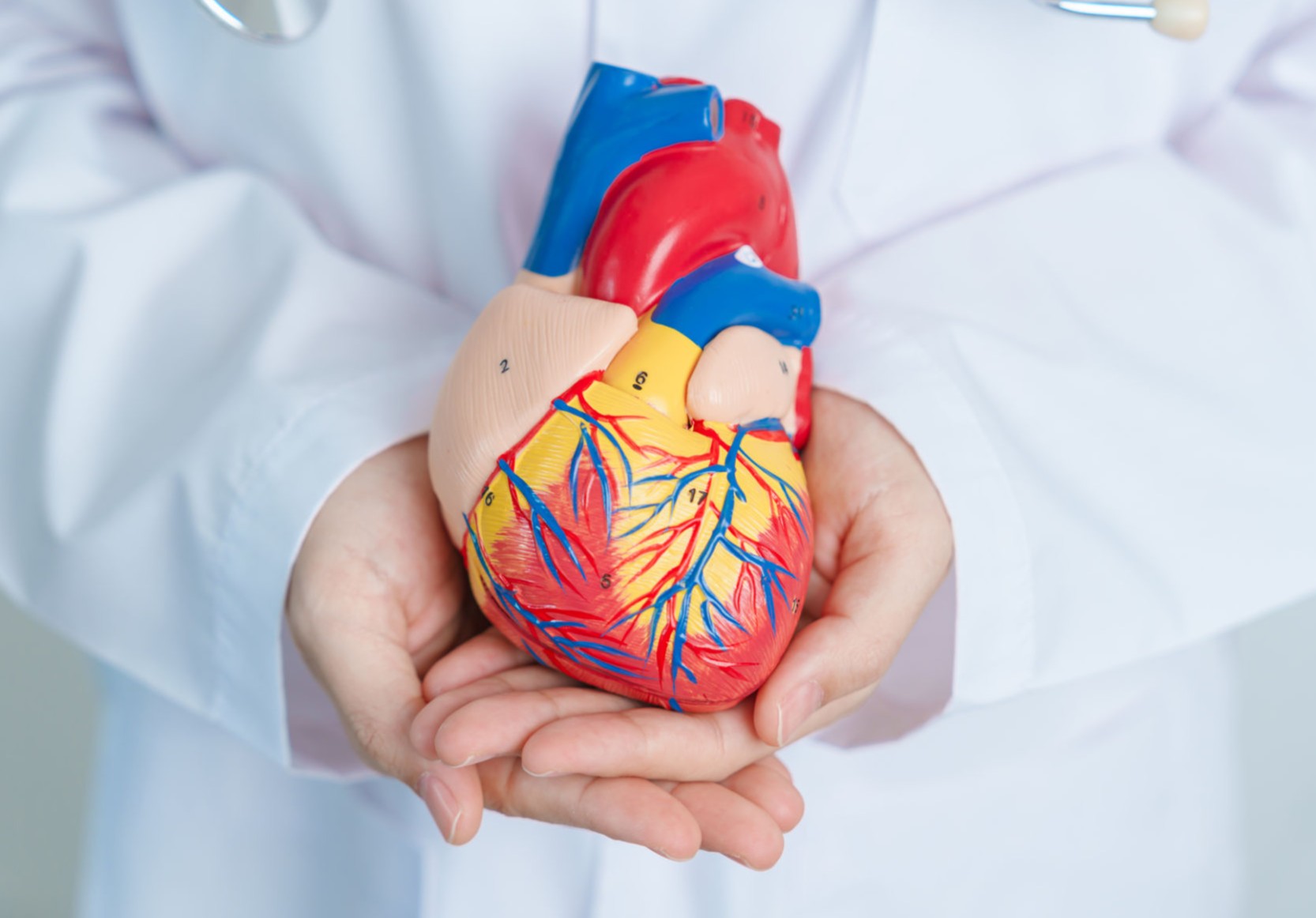 Heart Study Shows Atrial Shunting Shrinks Left Side, Expands Right ...