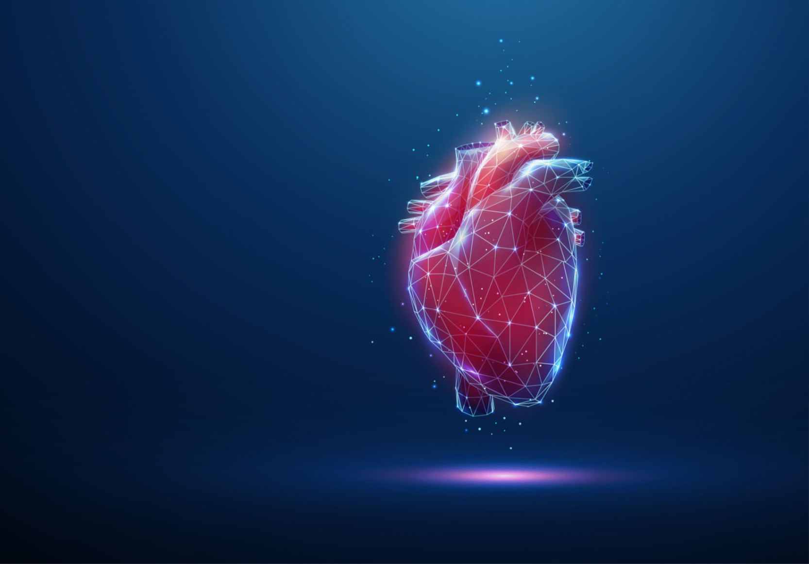 New Cardiac Research Will Save Women’s Lives by Improving Detection of ...