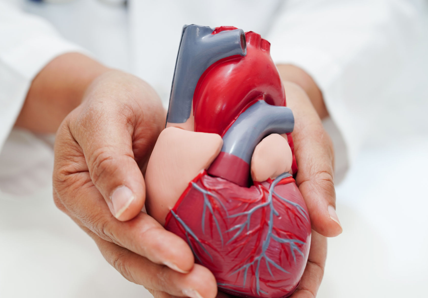 New Guideline Details How to Manage CVD Risk Before, During, and After ...